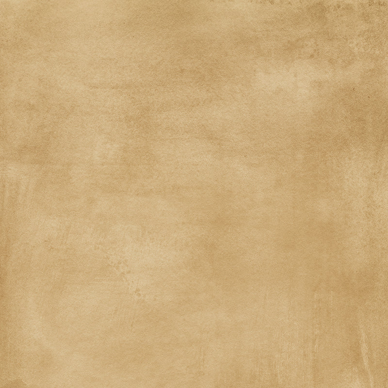 Tan Solid Photography Backdrop Photography Background