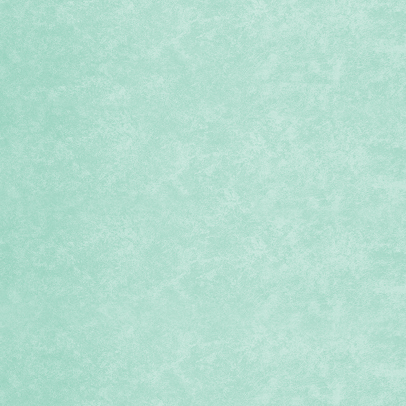 Solid Photography Backdrops. Headshot Backdrop for Studio Portraits ...