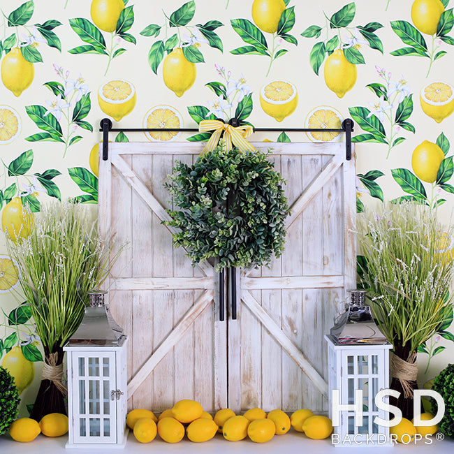 Lemon Drop Photography Backdrop Summer Photo Background Cake Smash