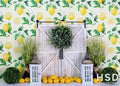 Lemon Drop Photography Backdrop Summer Photo Background Cake Smash ...