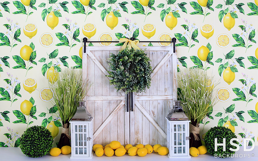 Lemon Drop Photography Backdrop Summer Photo Background Cake Smash ...