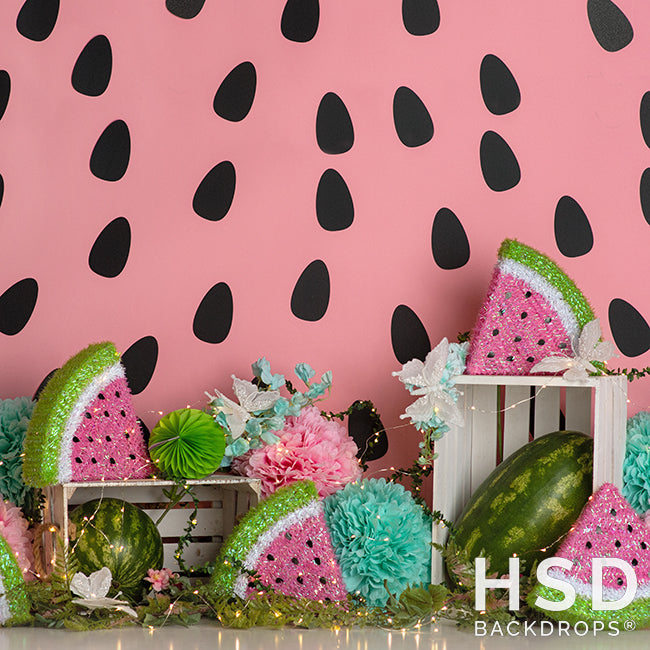 Watermelon Photography Backdrop Summer Photo Background Cake Smash