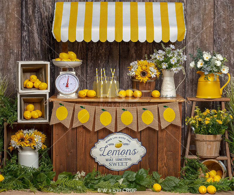 Lemonade Stand Backdrop for Summer Mini Session & Cake Smash Portraits