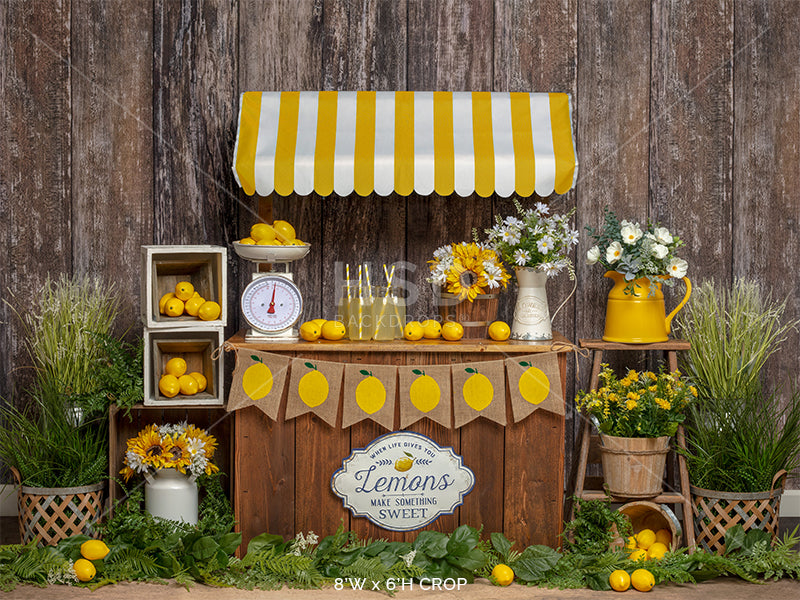 Lemonade Stand Backdrop for Summer Mini Session & Cake Smash Portraits