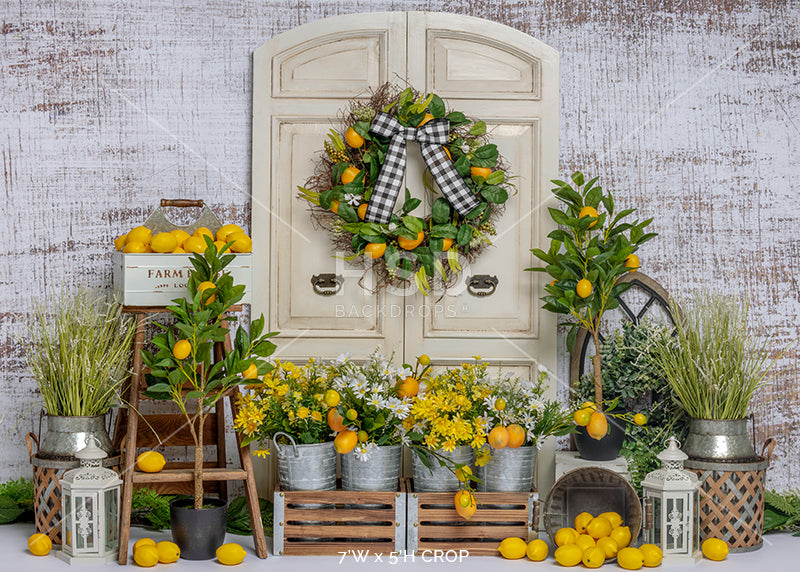 Lemon Photo Backdrop. Lemon Drop Photography Backdrop for Summer