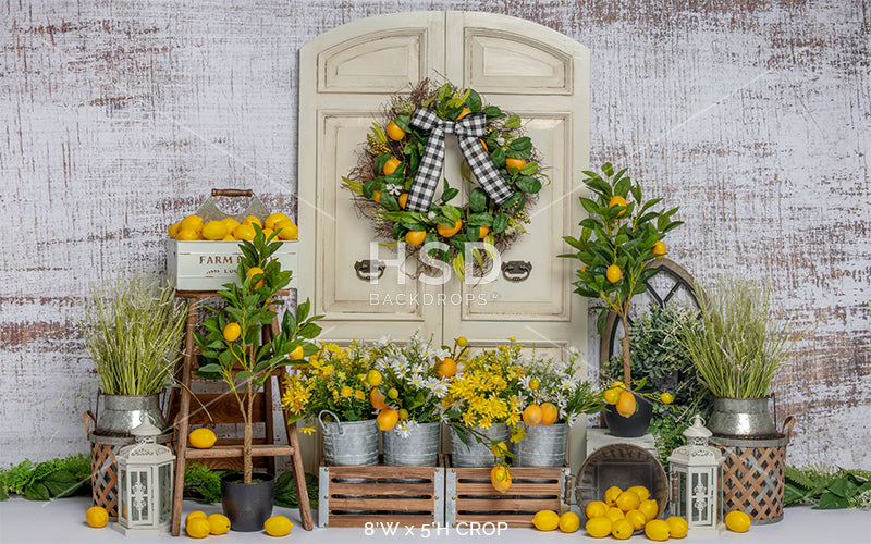 Lemon Photo Backdrop. Lemon Drop Photography Backdrop for Summer
