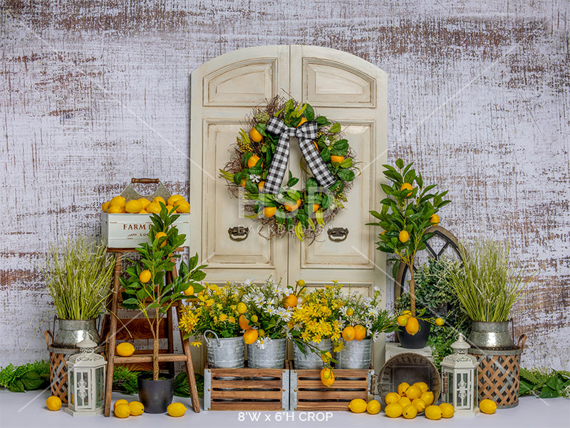 Lemon Photo Backdrop. Lemon Drop Photography Backdrop for Summer