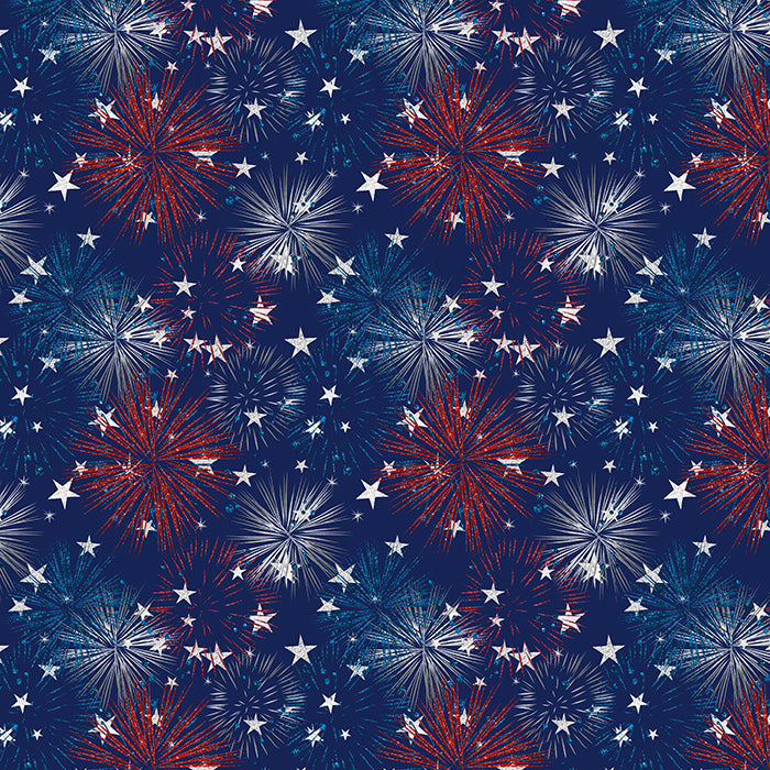 4th of July Fireworks photo backdrop for Independence Day