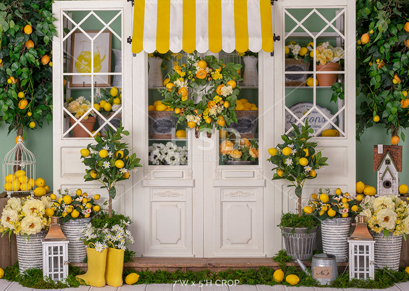 Lemon Backdrop for Summer Portraits. Lemon Themed Photo Background.