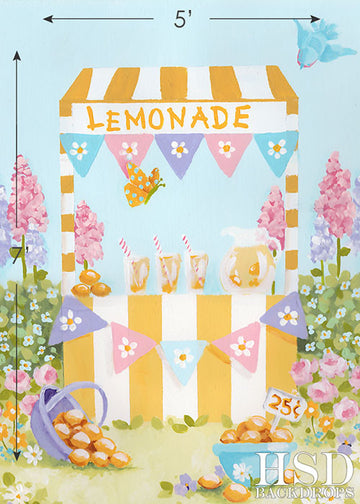 Lemonade Stand Photography Backdrop Props Spring Summer Mini Sessions ...