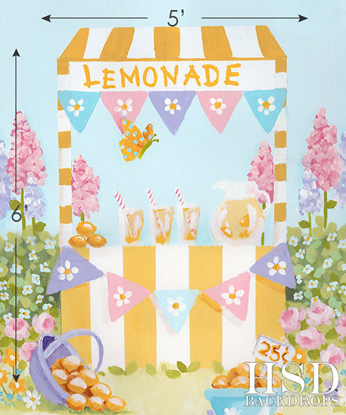 Lemonade Stand Photography Backdrop Props Spring Summer Mini Sessions