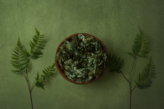 Where The Fern Grows | Seedling Coll. | Digital