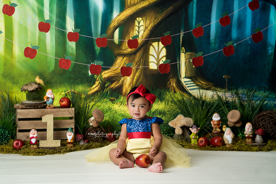 snow white theme background