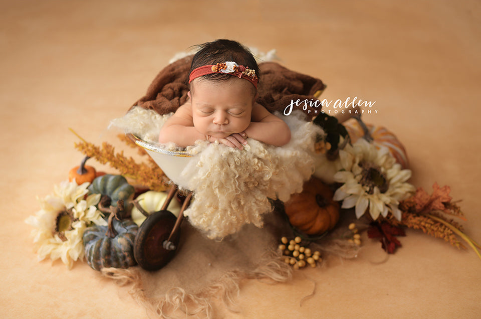 Oatmeal Solid Photography Backdrop Photography Background