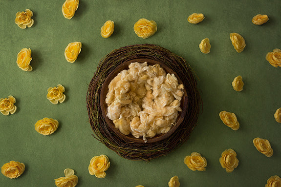 Sunbeam Glow Coll. | Gleaming | Digital