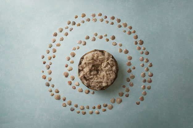 Under The Sea Coll. | Oceanfront | Digital