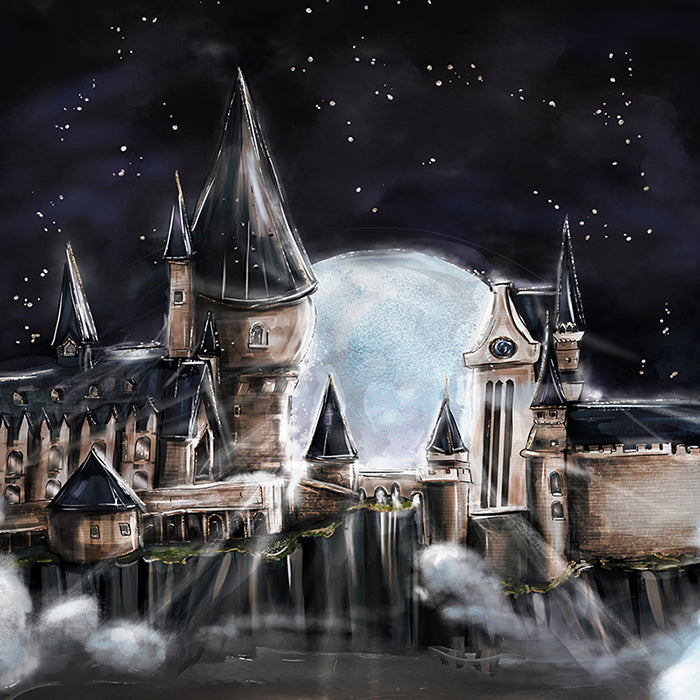 Harry Potter Photo Backdrop Hogwarts Castle Backdrop Inspired – HSD ...