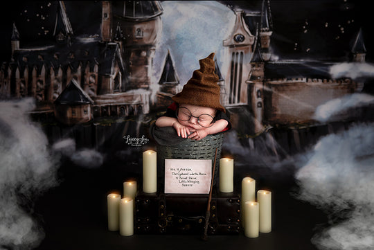 Harry Potter Photo Backdrop Hogwarts Castle Backdrop Inspired – HSD ...