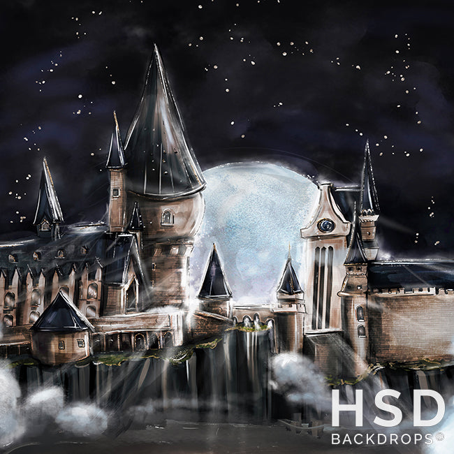 Harry Potter Photo Backdrop Hogwarts Castle Backdrop Inspired – HSD ...