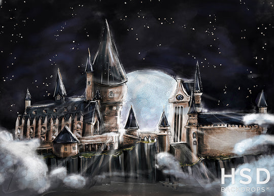 Harry Potter Photo Backdrop Hogwarts Castle Backdrop Inspired – HSD ...