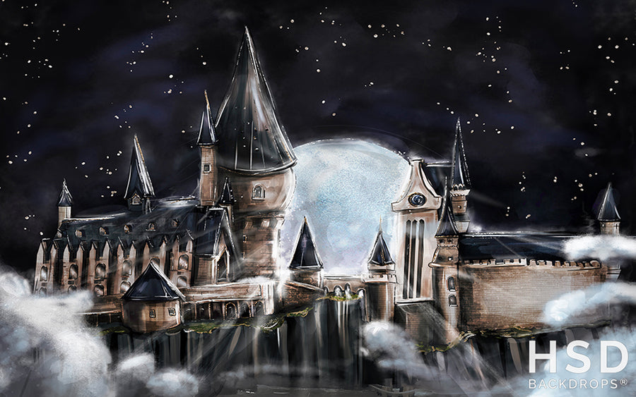 Harry Potter Photo Backdrop Hogwarts Castle Backdrop Inspired – HSD ...