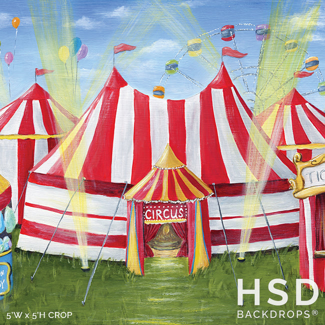 Circus Theme Backdrop for Birthday Party Cake Smash Carnival Portraits