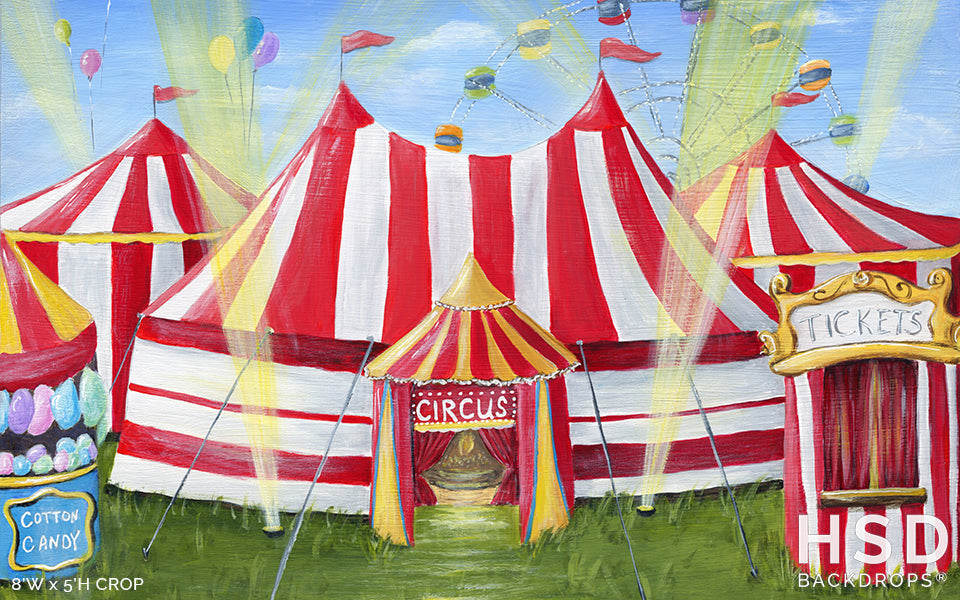 Circus Theme Backdrop for Birthday Party Cake Smash Carnival Portraits