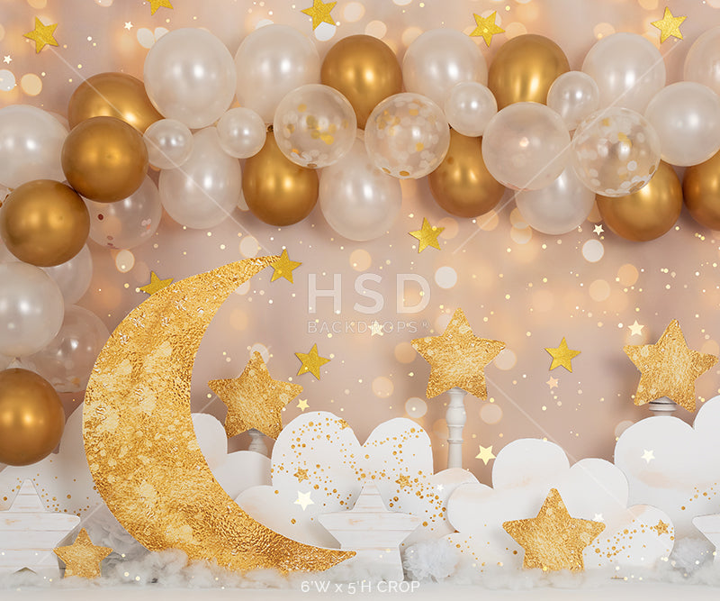 Twinkle Little Star Baby Shower Decorations Twinkle Twinkle Little