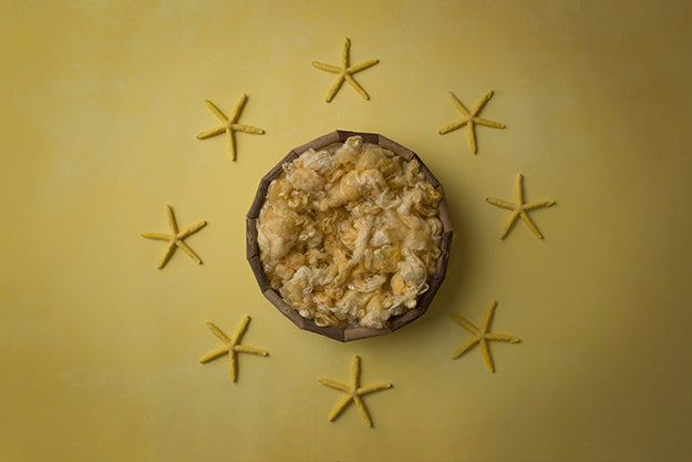 Sea Stars | Yellow Starfish Coll. | Digital