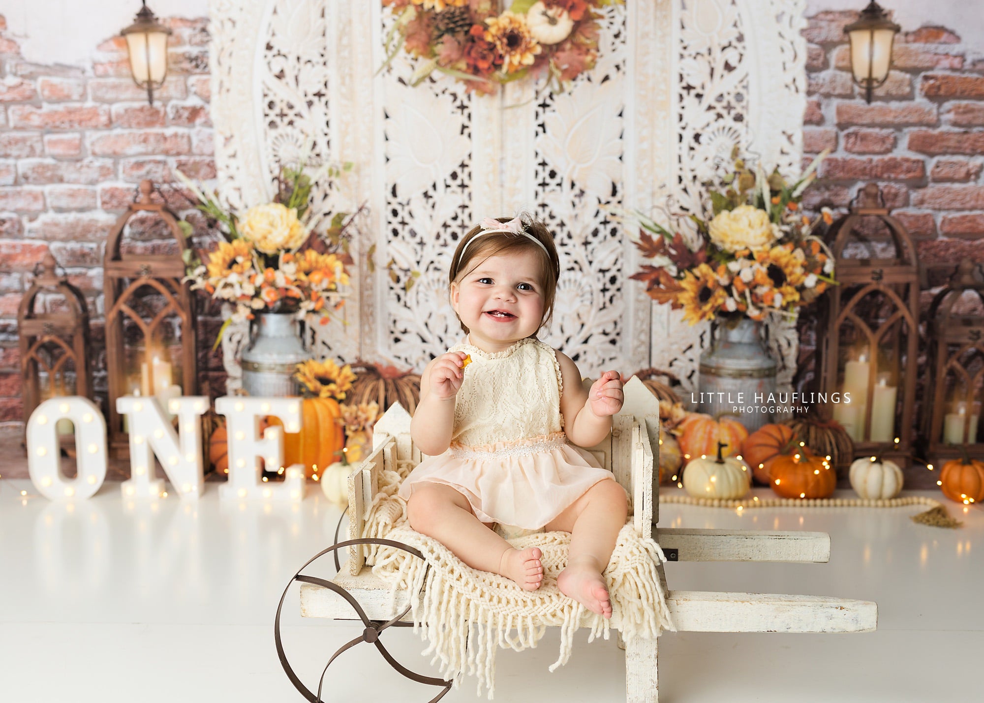 Boho Fall Photography Backdrop for Pictures. Autumn Photo Backdrop.